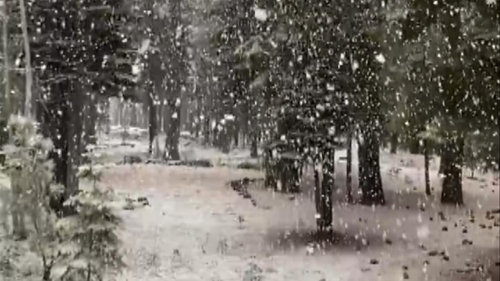 Snow Winter Sky Winter Sky Stock Photos, Royalty Free Winter Sky
