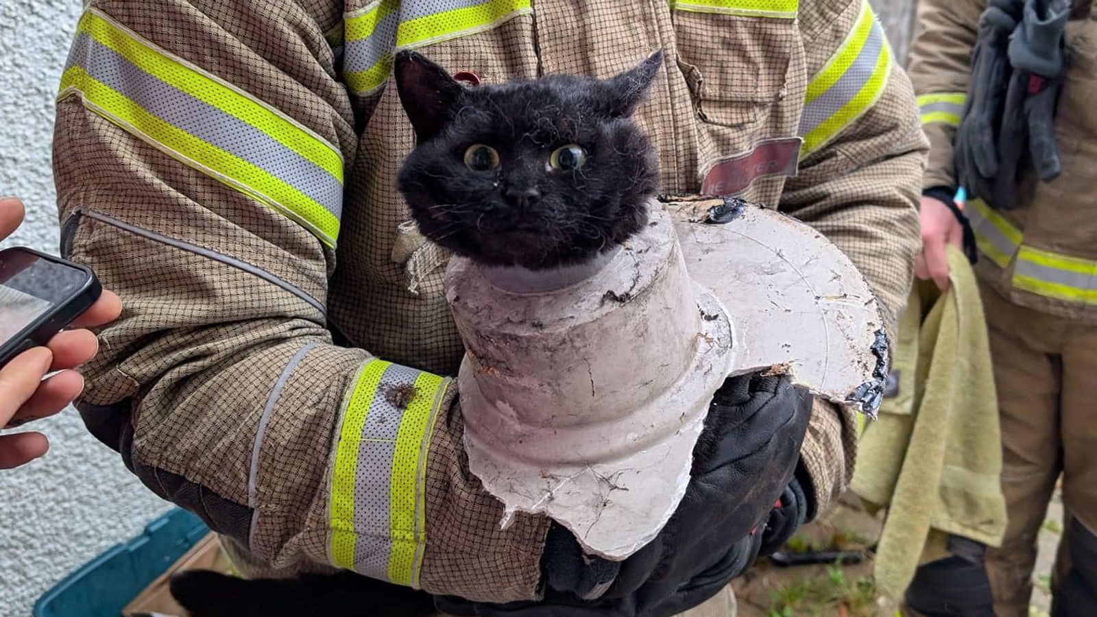 Cat wriggles through drainpipe - but with less-than-purrfect results | UK News | Sky News