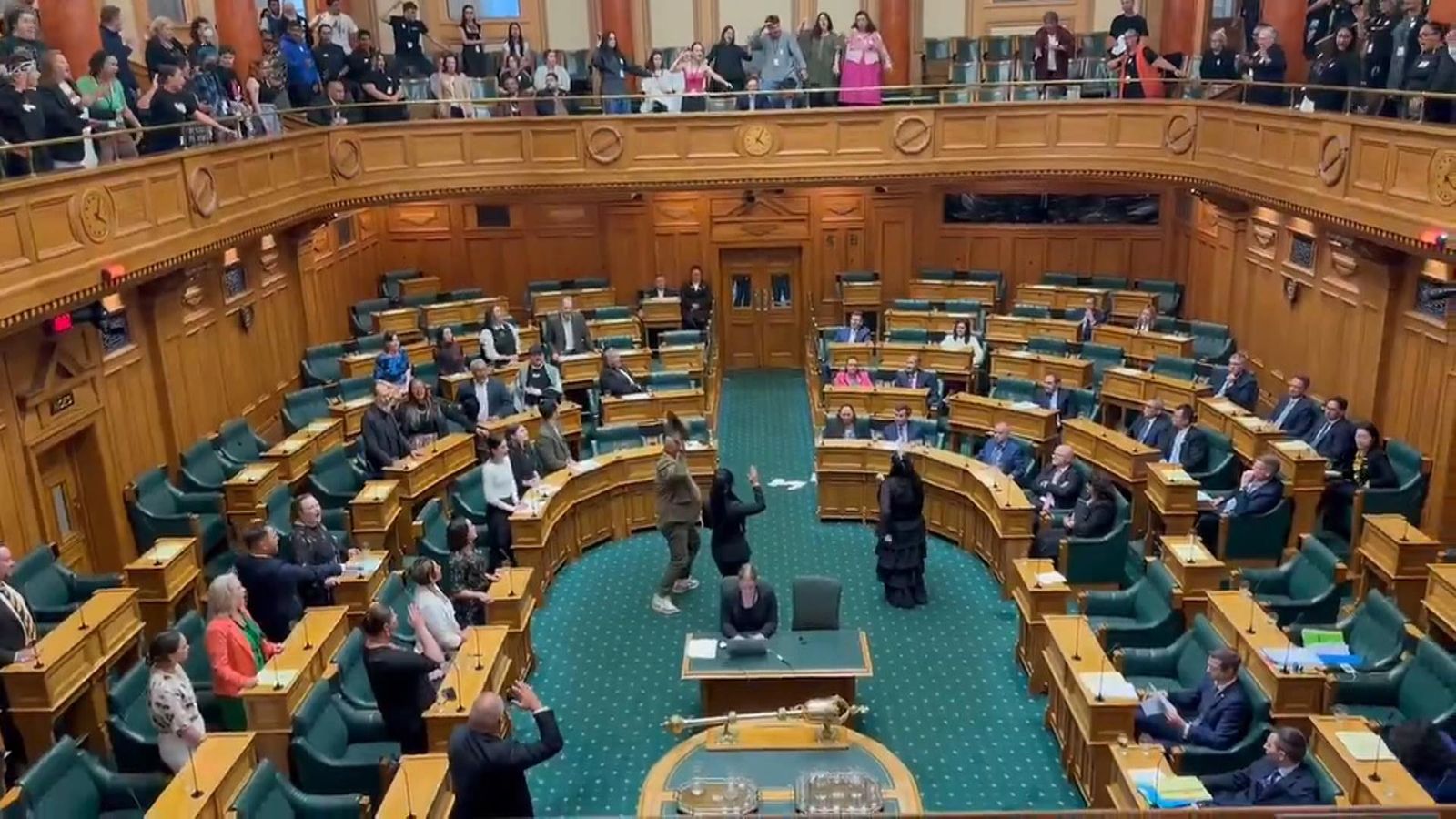 New Zealand parliament suspended after Haka protest | World News | Sky News