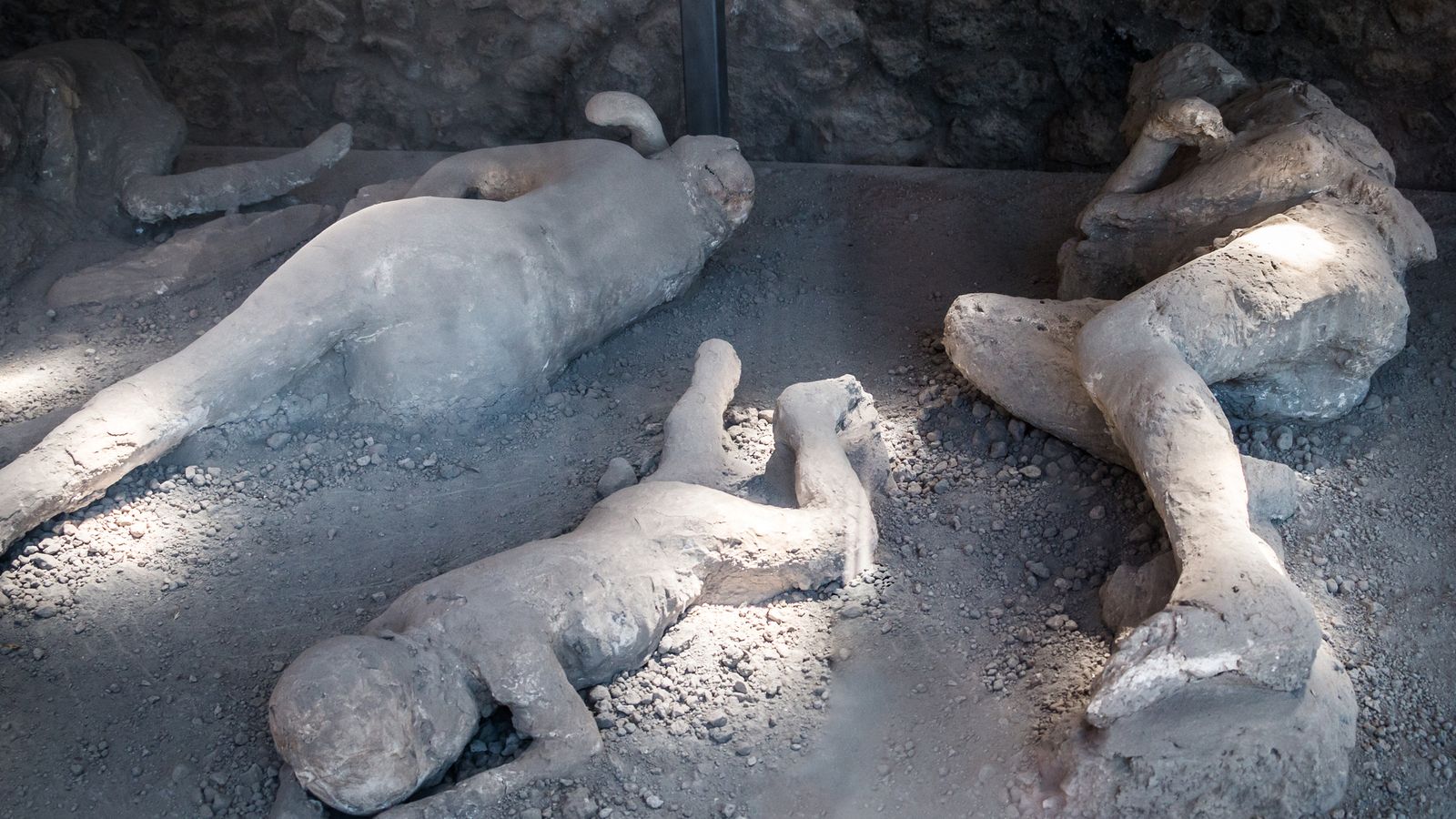 Pompeii DNA evidence suggests victims not as they seemed | World News ...