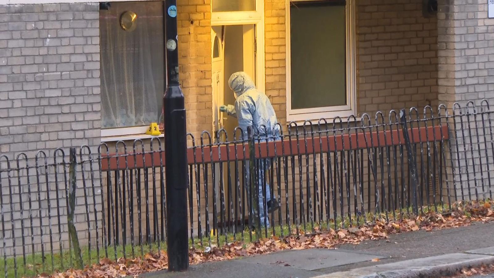 Sydenham shooting: Officers investigate fatal shooting in London | UK ...