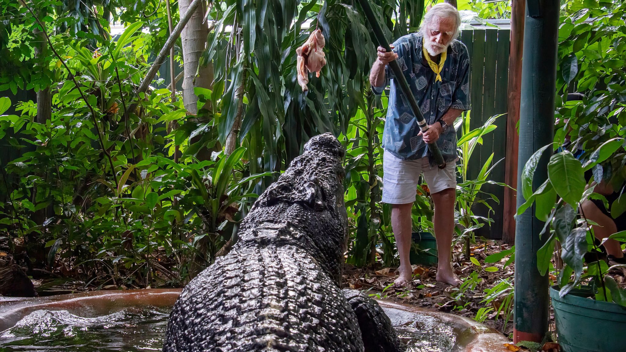 World's largest captive crocodile dies aged 110 | World News | Sky News