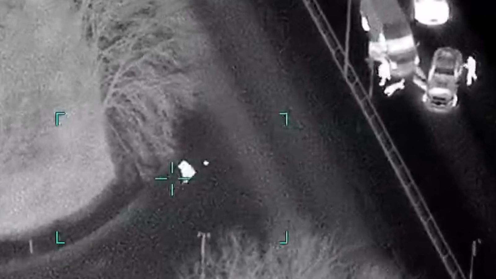 Police dog in Manchester catches suspect trying to escape | UK News ...