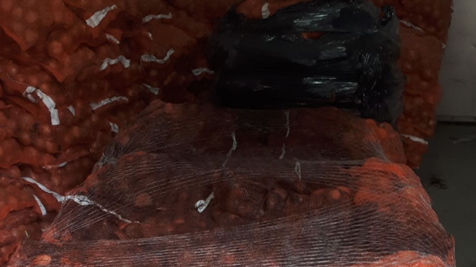 Organised crime gang members jailed after helping smuggle up to £7bn ...