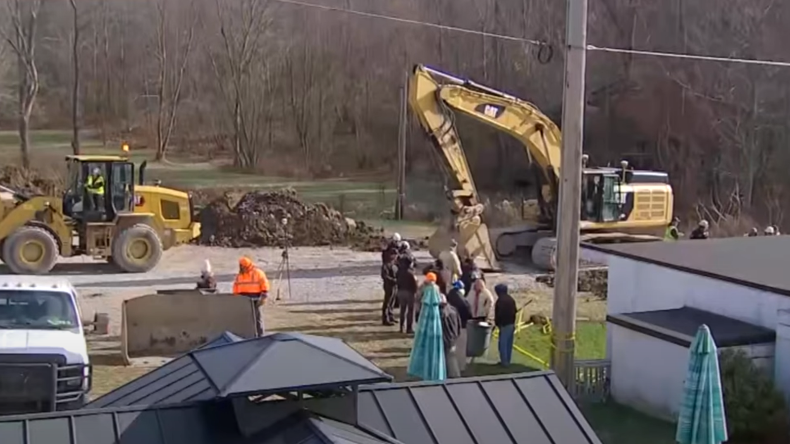 Grandmother searching for missing cat may have fallen into sinkhole in ...