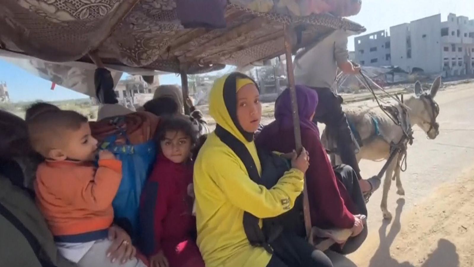 War displaced are 'eating grass and animal feed' in Gaza | World News ...