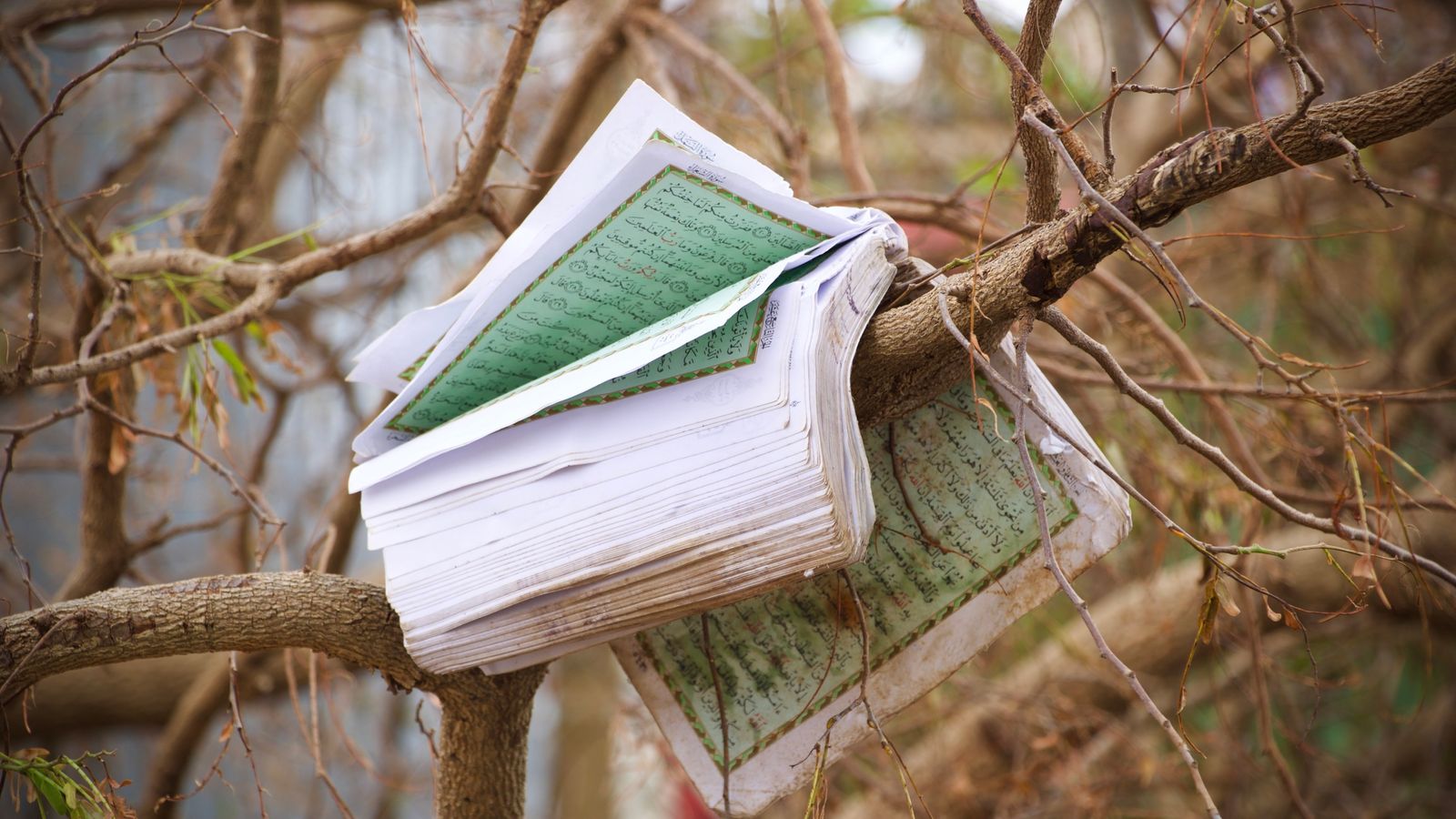 Cyclone survivors live 'wretched existence' on cut-off island of ...