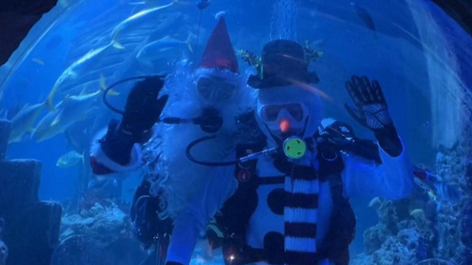 Santa and snowman swim with the fish in bizarre celebration | World ...