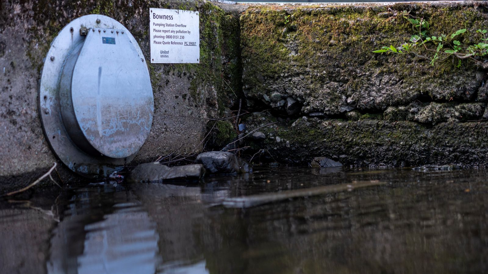 Campaigners say analysis shows illegal sewage spills in Lake Windermere ...