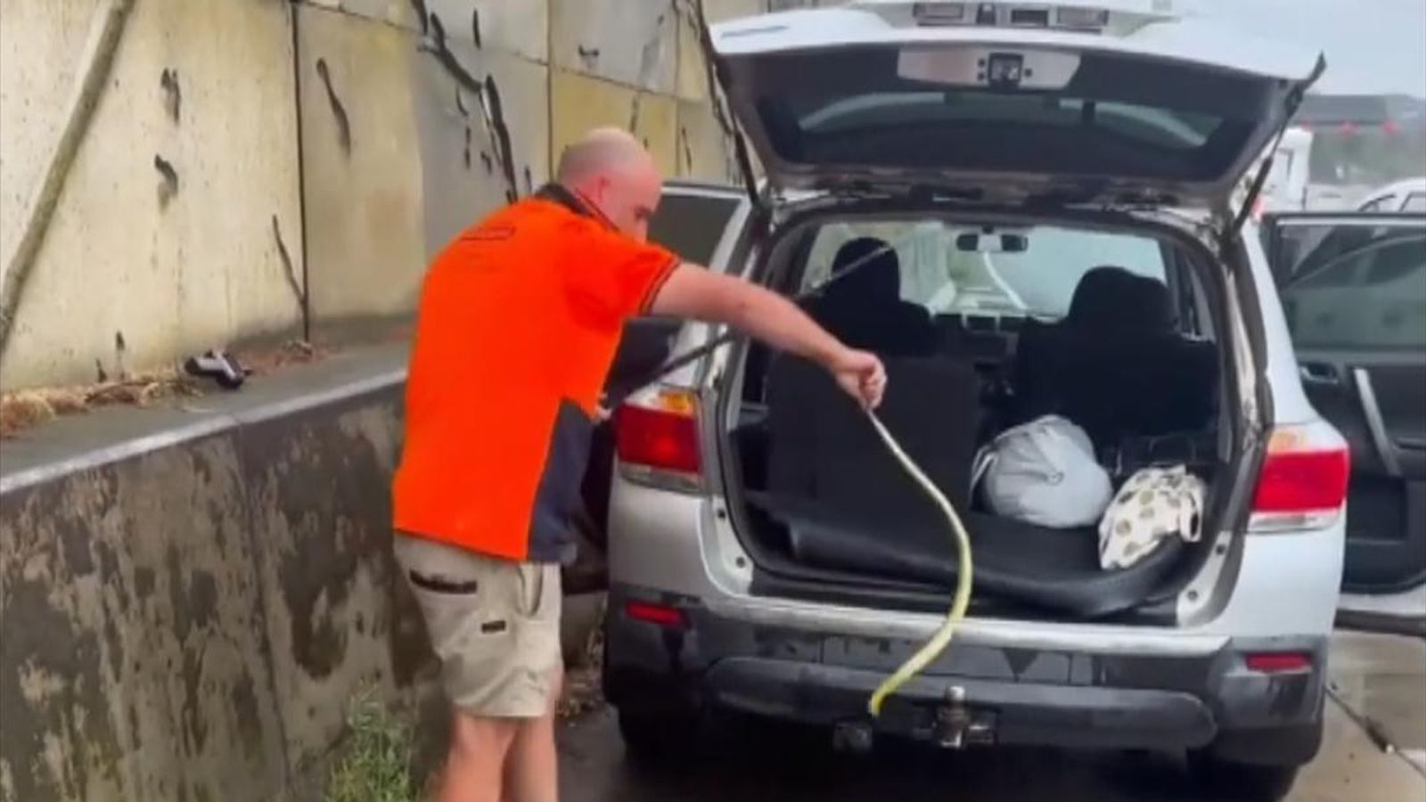 Australia: Woman escapes venomous snake in car | World News | Sky News