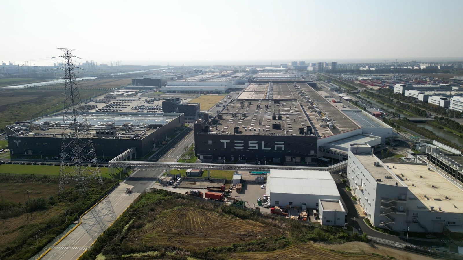 Elon Musk could act as middleman between China and Trump in possible ...