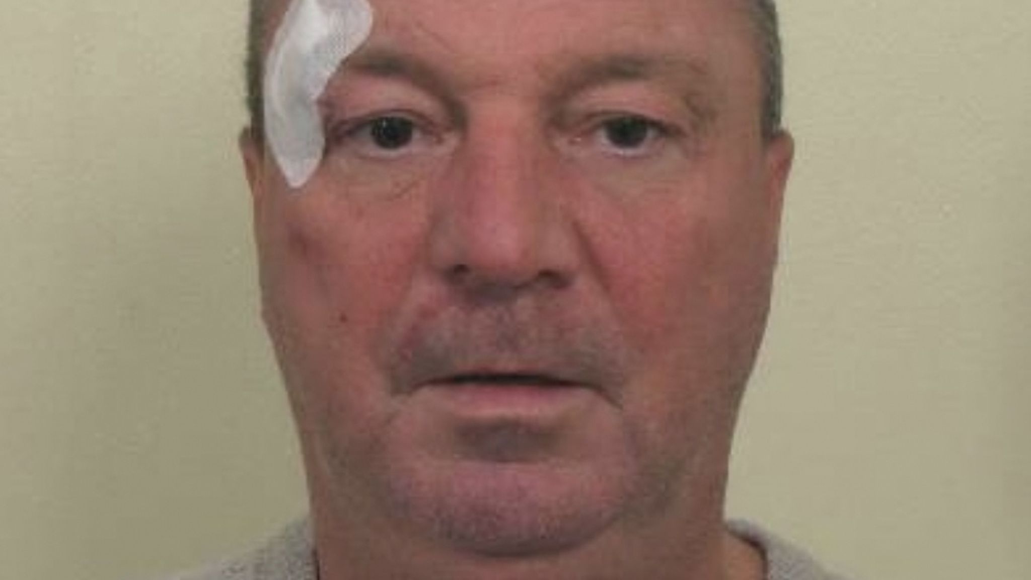 Organised crime gang members jailed after helping smuggle up to £7bn ...