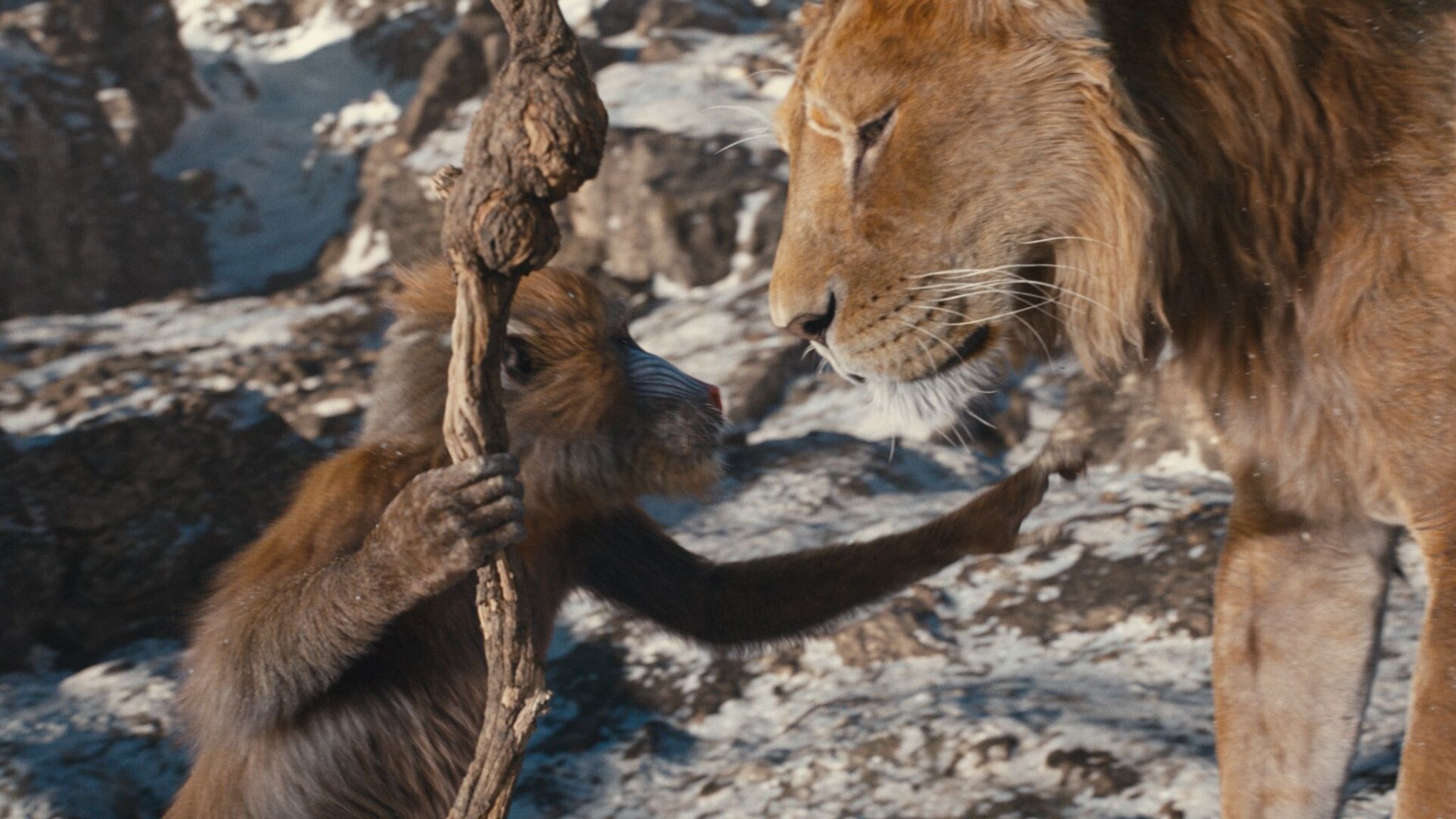 Mufasa: The Lion King - six key things to know before watching the ...