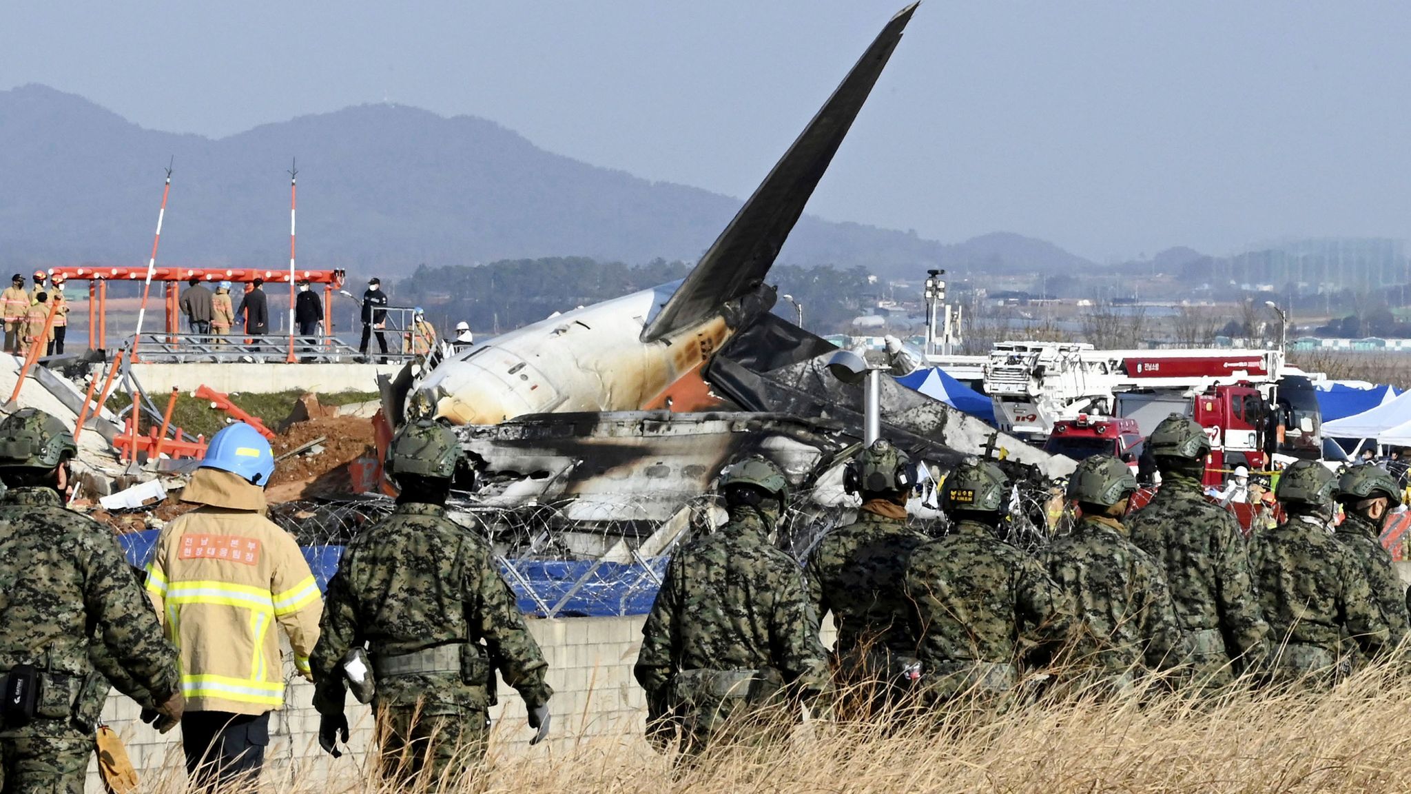 Bird feathers found in South Korea passenger jet engine after crash which killed 179 | World ...