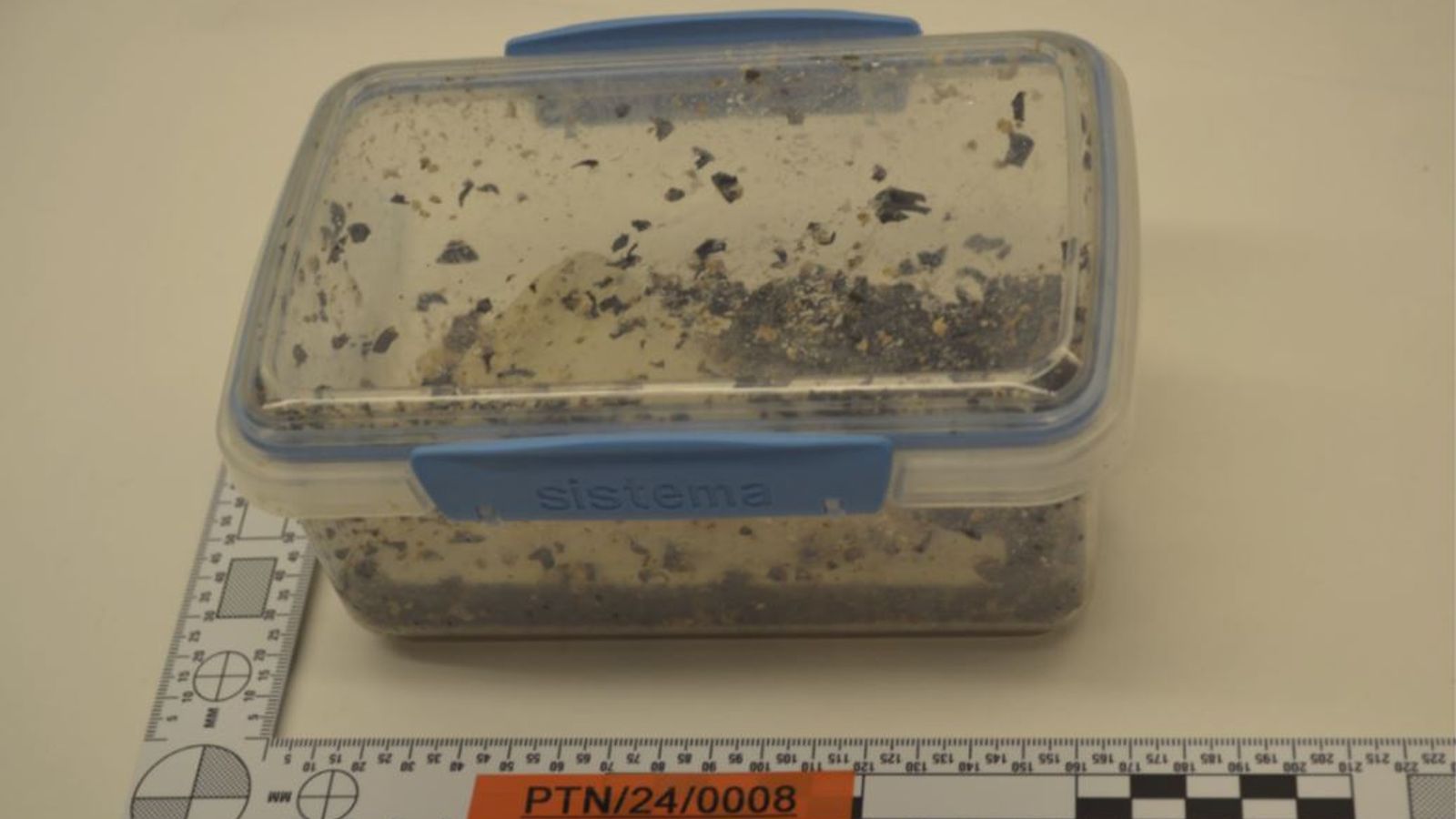 Southport child killer Axel Rudakubana jailed for life with minimum of ...