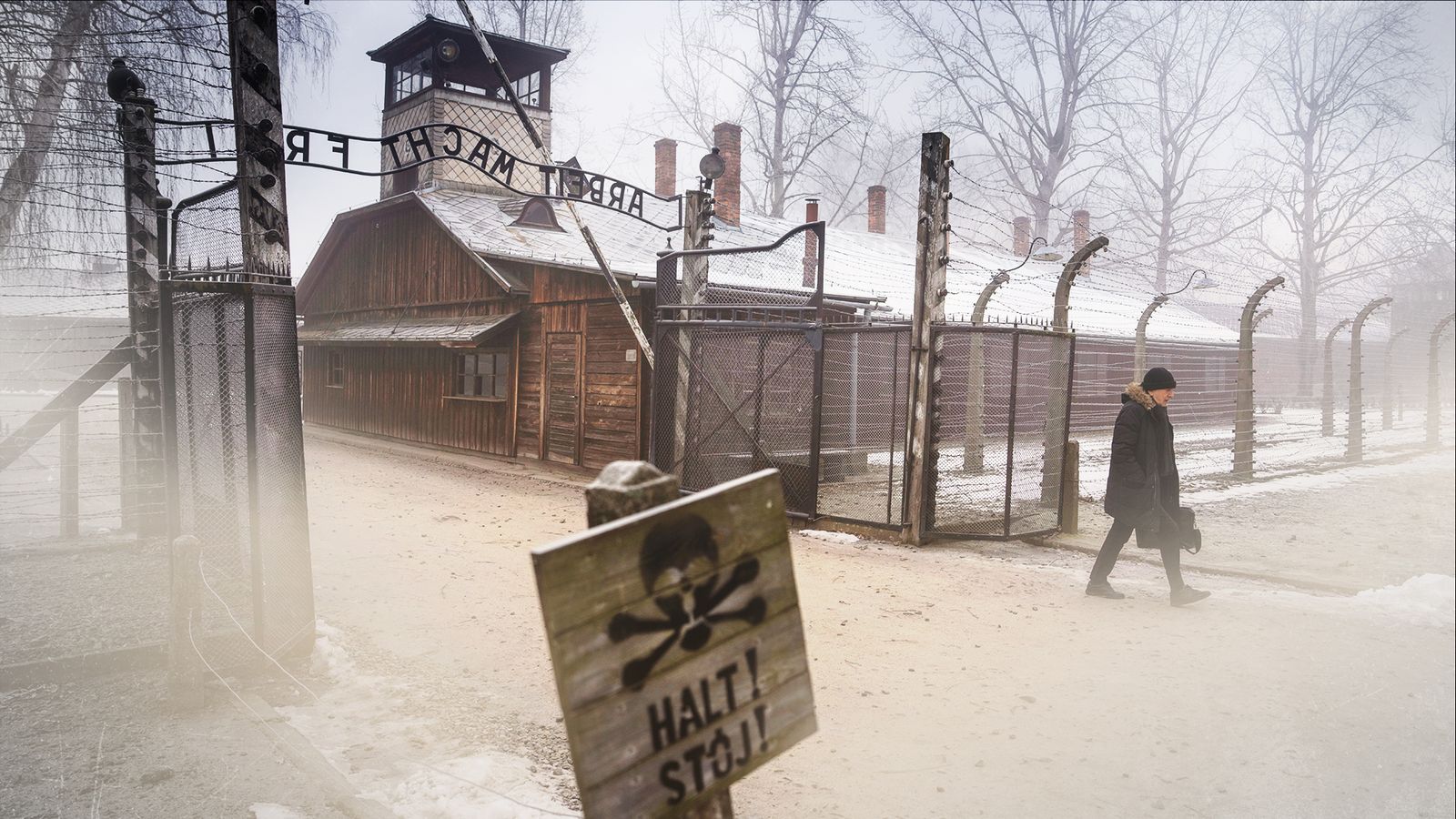 'My mother sacrificed herself for me': Escape from the train of death ...