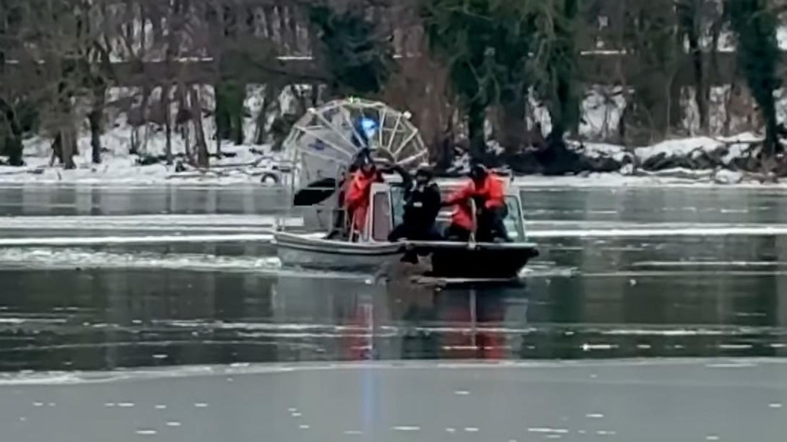 Deer rescued after getting trapped on ice in Washington DC | US News ...