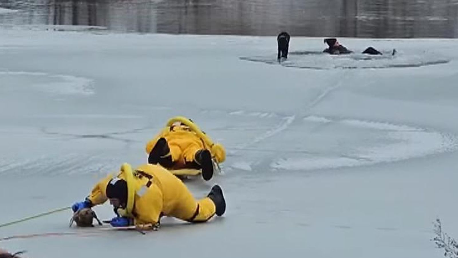 Woman falls into frozen pond to rescue dog in Missouri | US News | Sky News