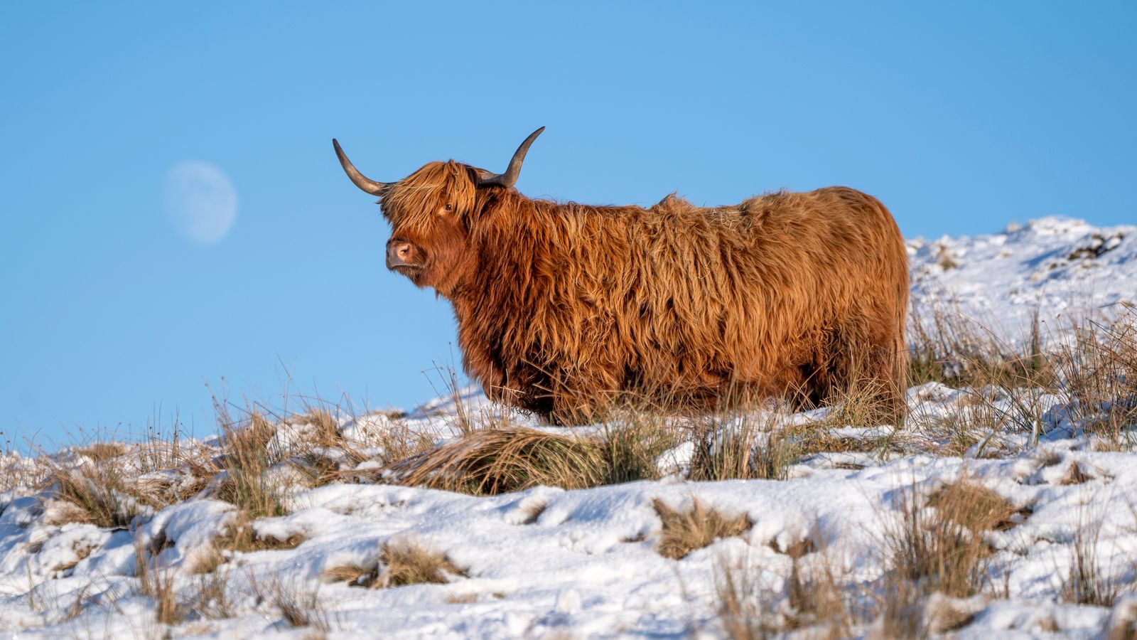 UK weather: Scottish hamlet reaches -18C in coldest January night in 15 ...
