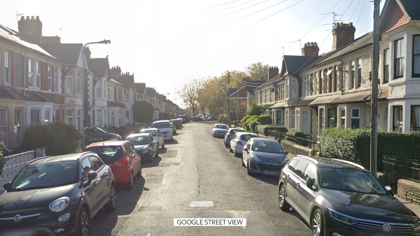 Cardiff: Cyclist urged to come forward after woman walking dog dies ...