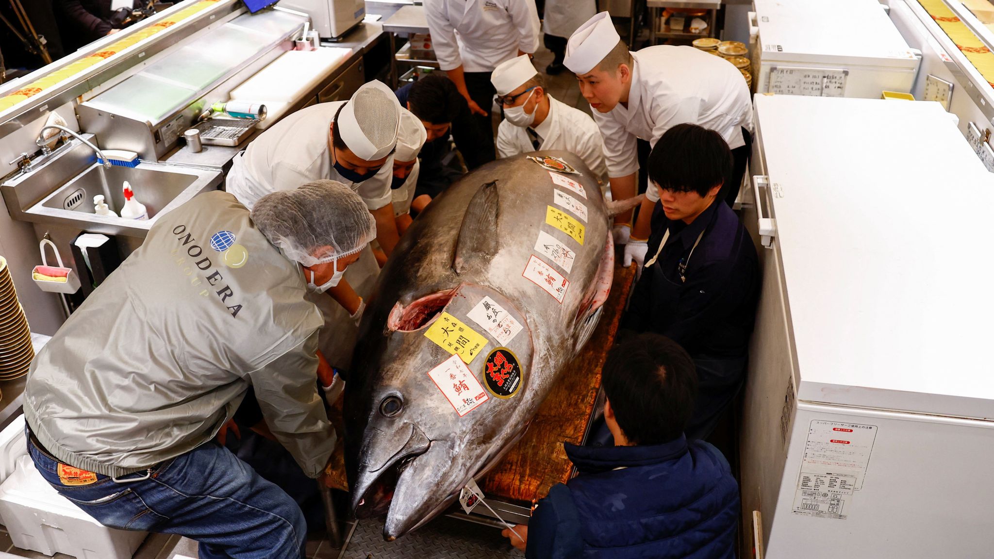 Motorbike-sized tuna sells for £1m at Tokyo auction | World News | Sky News