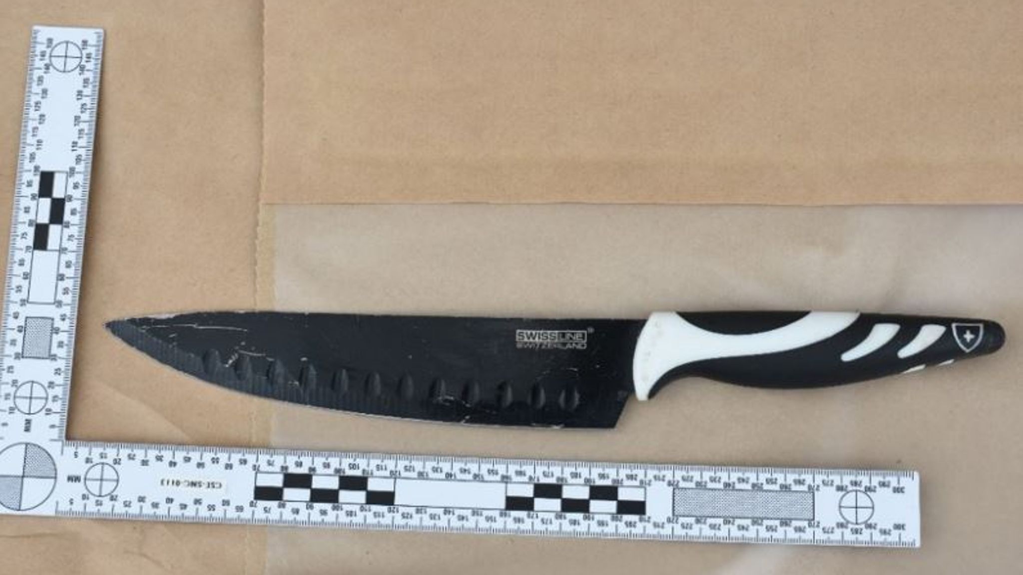 Teenager who stabbed schoolgirl Elianne Andam to death in 'frenzied ...