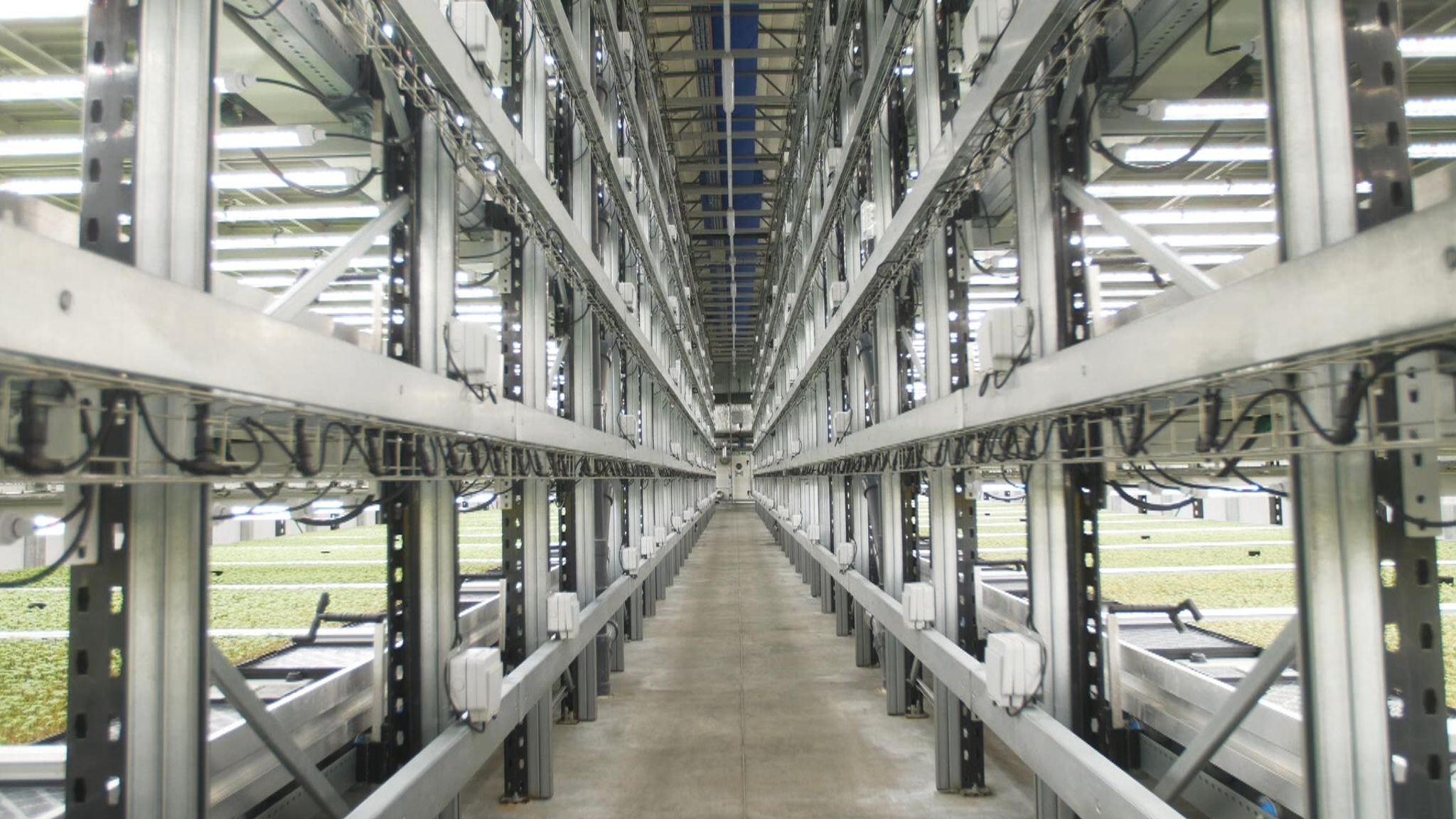 Could this be the future of farming? Inside Europe's biggest vertical ...