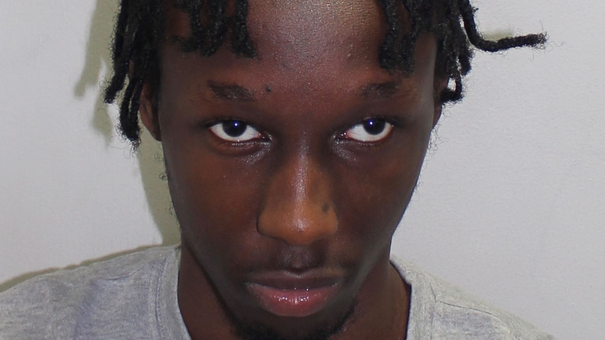 Teenager who stabbed schoolgirl Elianne Andam to death in 'frenzied ...