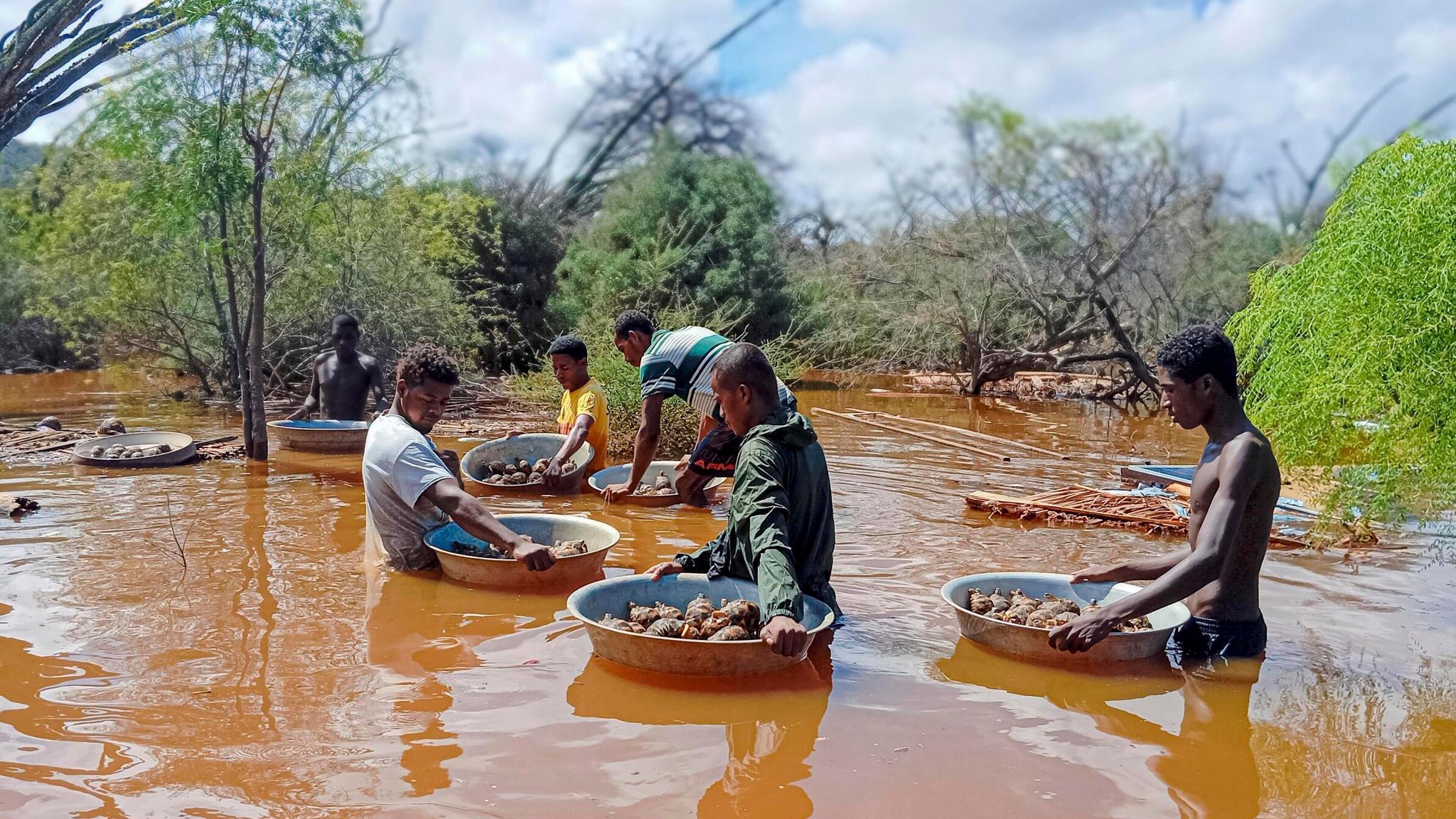 Thousands of endangered tortoises rescued from floods in Madagascar ...