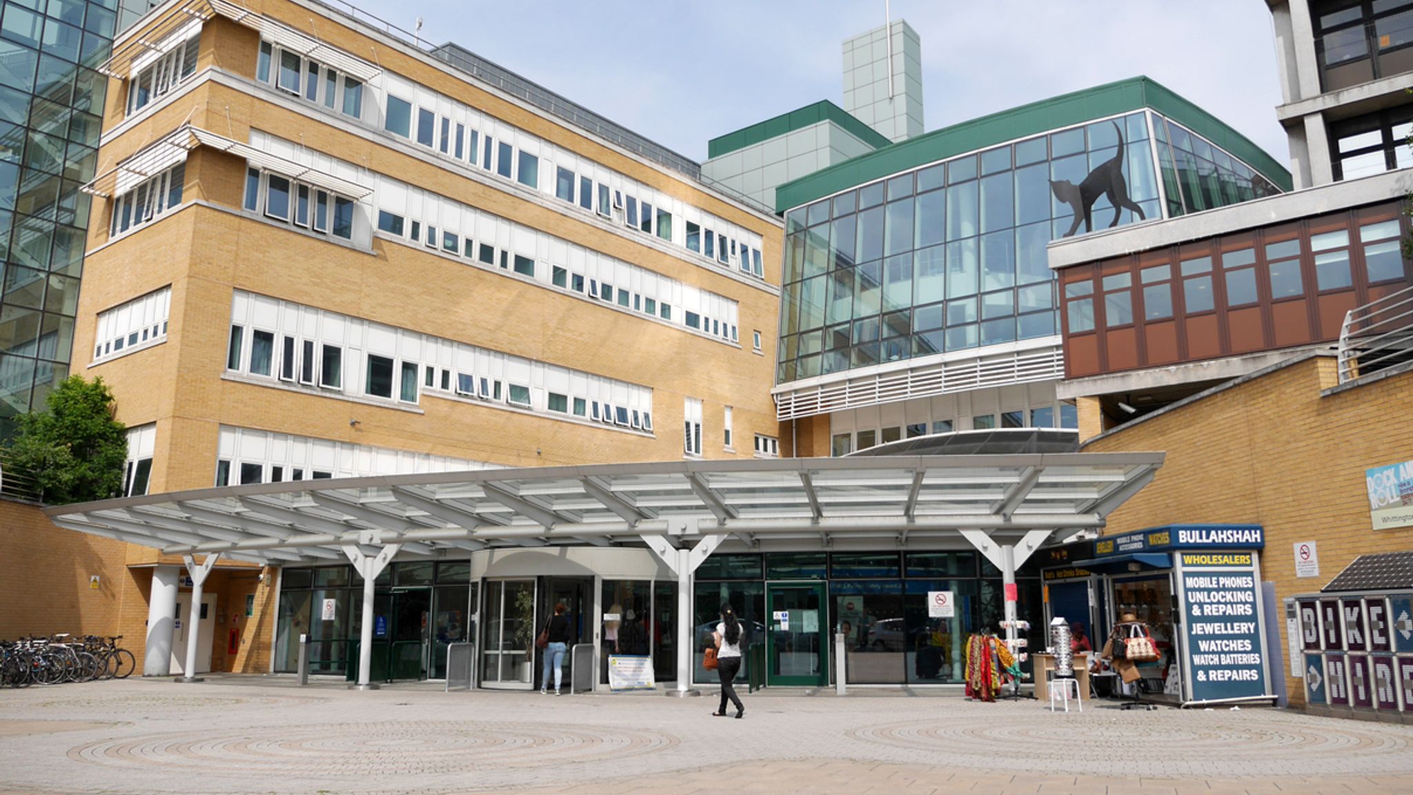 North London hospital advertises for corridor nurse amid NHS winter ...
