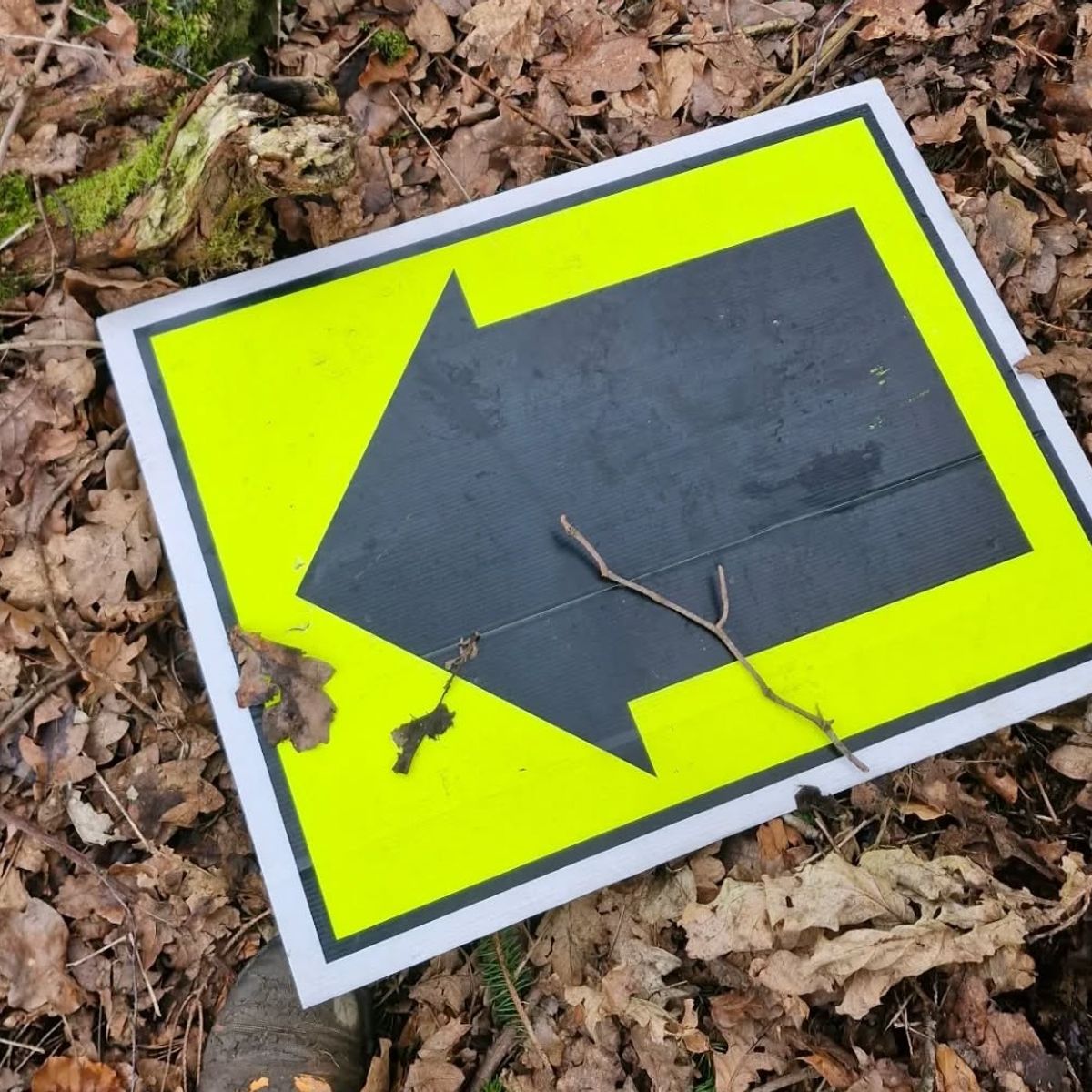 Female prankster pretending to be marshal sends Glasgow runners on 2 ...