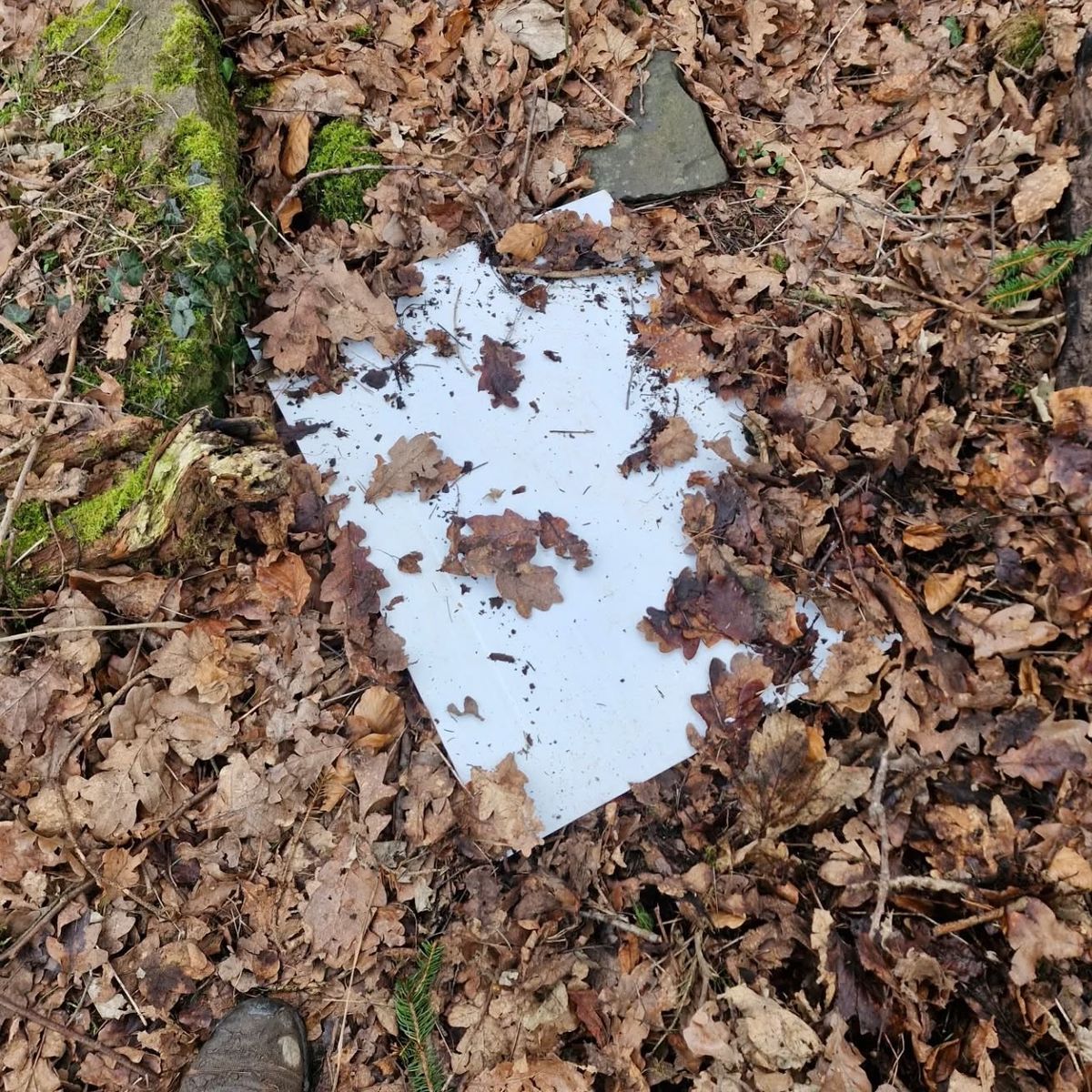 Female prankster pretending to be marshal sends Glasgow runners on 2 ...