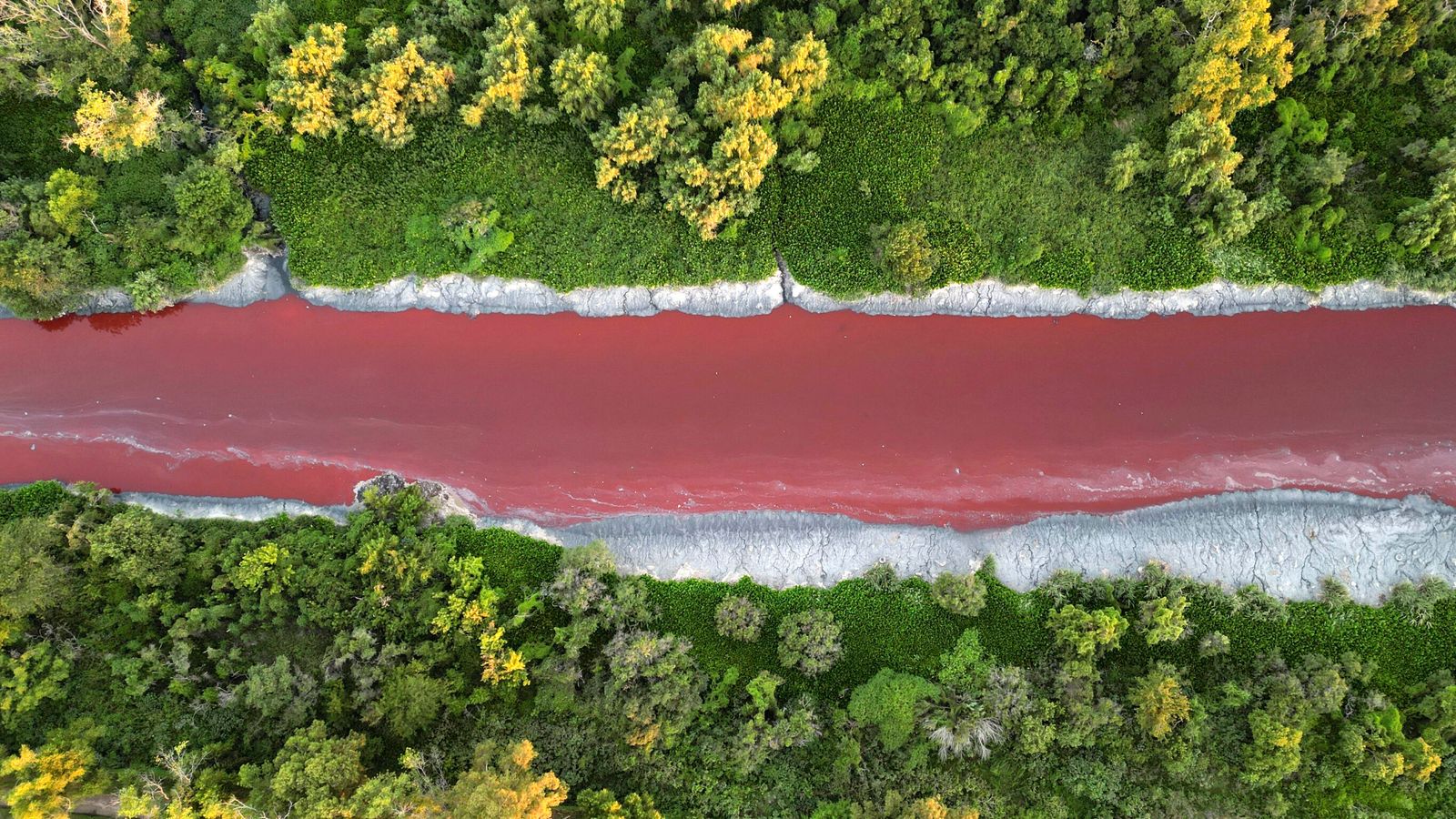 River in Argentina turns bright red | World News | Sky News