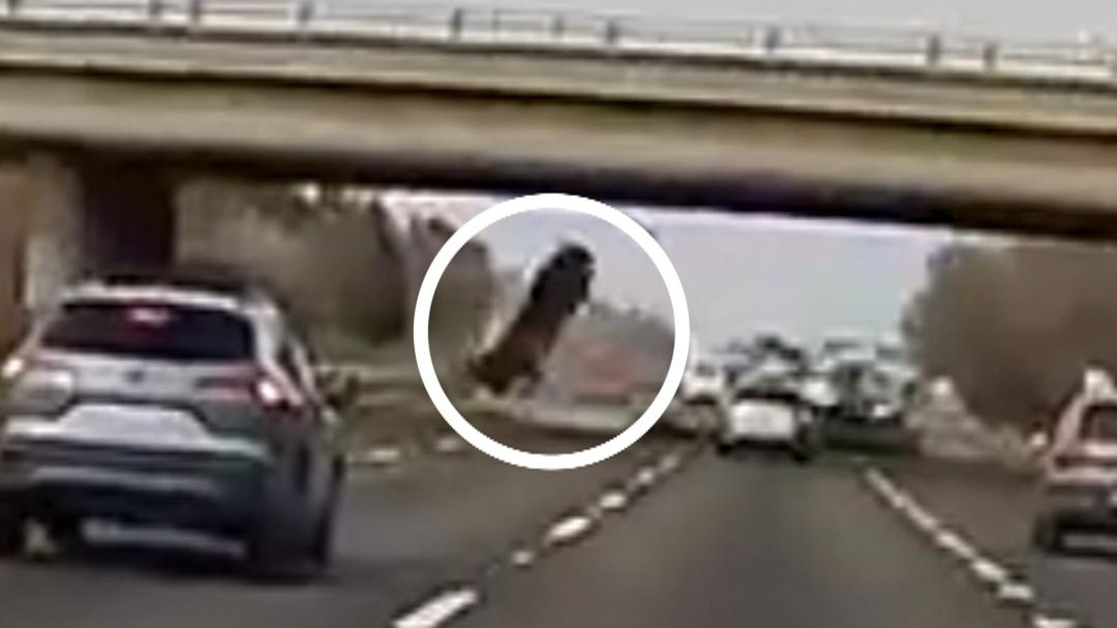Car flies off California overpass onto busy motorway | US News | Sky News