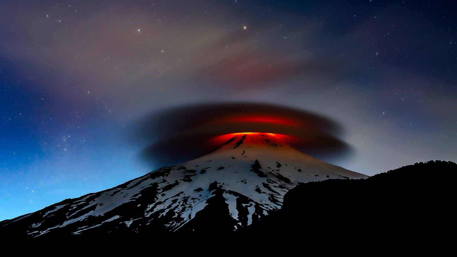 Ian Wooden's 'No Entry' snap of badger wins this yr's wildlife ...