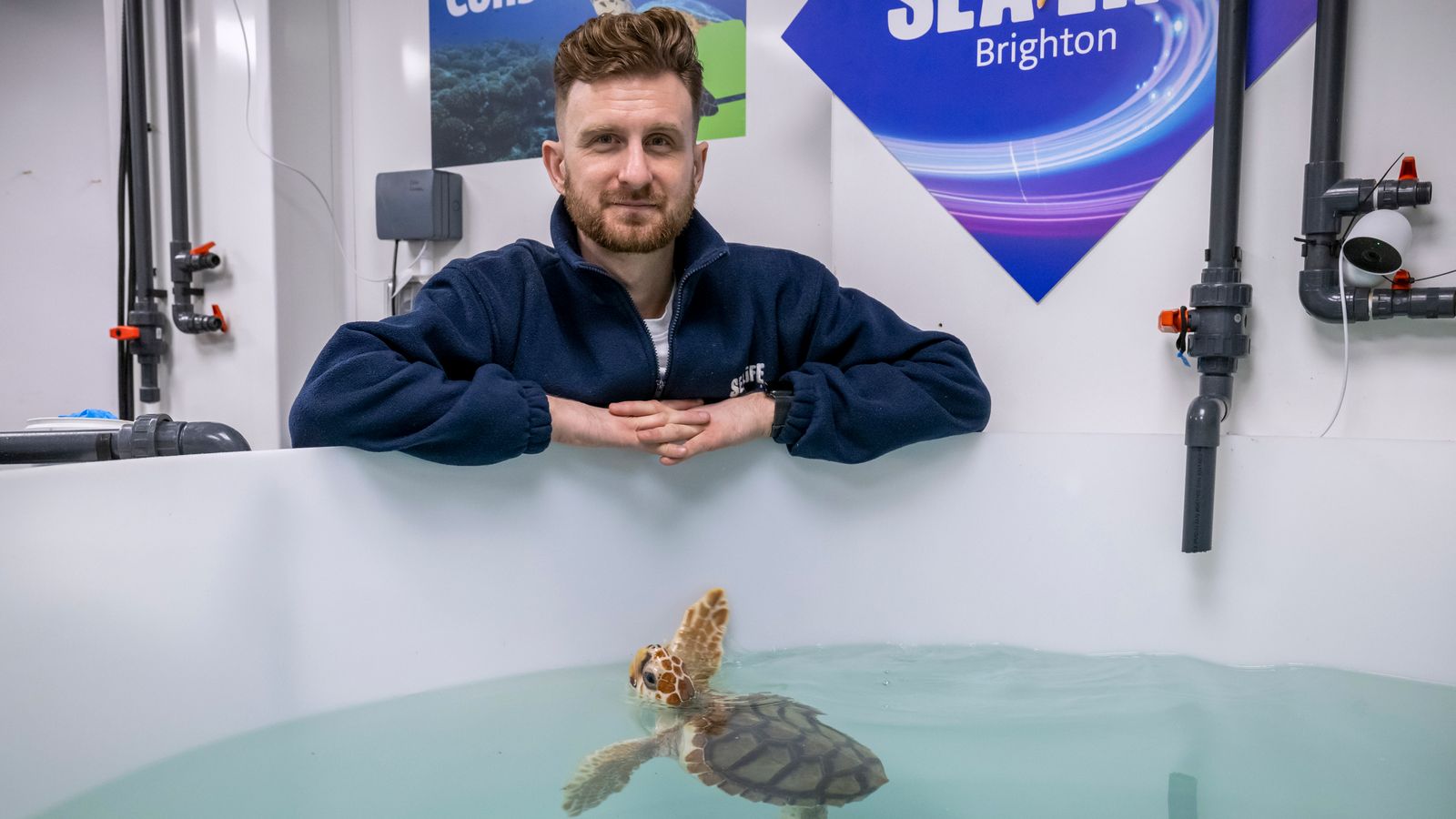 Sea turtle Barnacle Bill treated at UK's first dedicated rehab centre ...