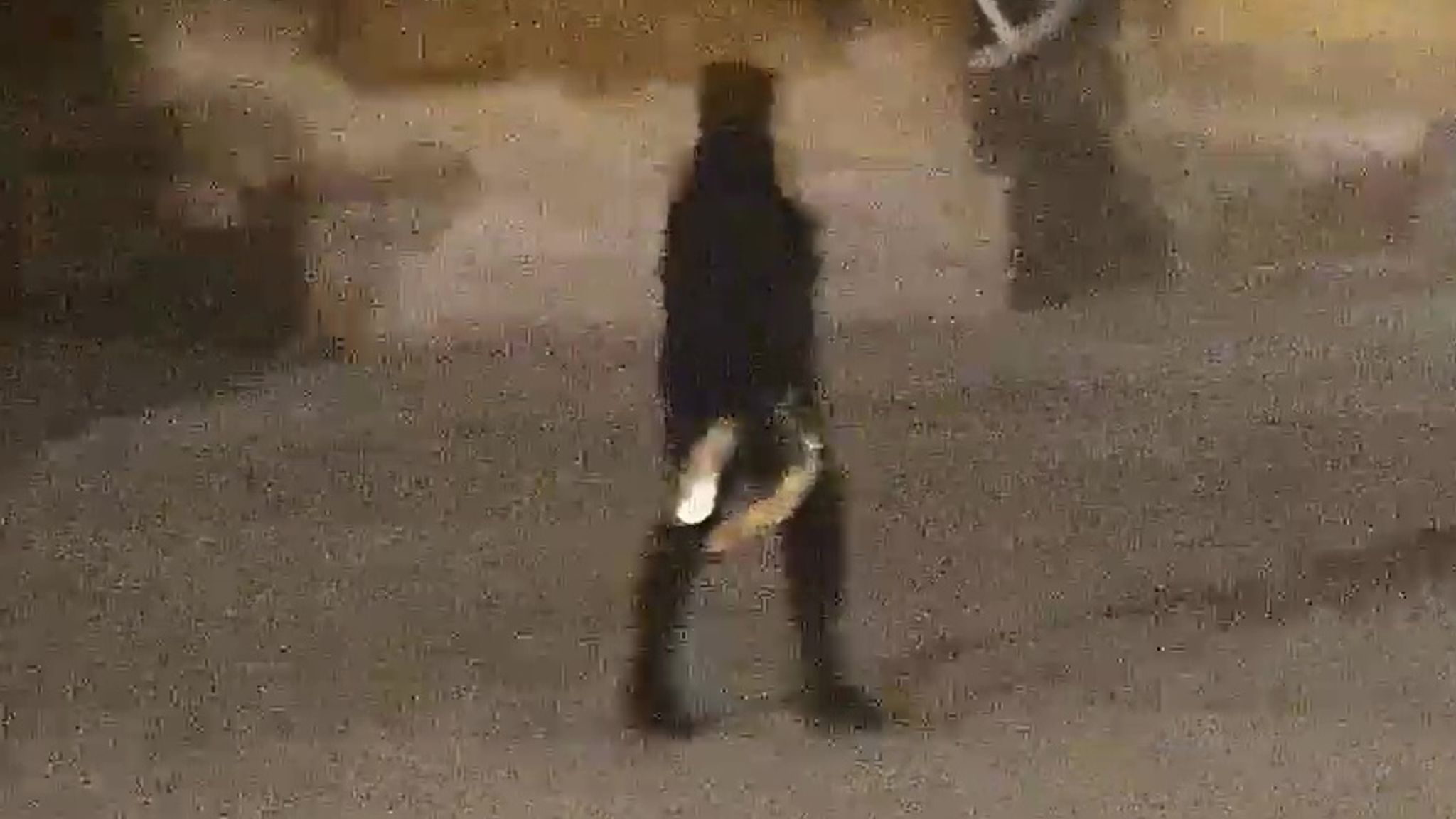 CCTV shows moment thieves roll £4.75m gold toilet out of Blenheim ...