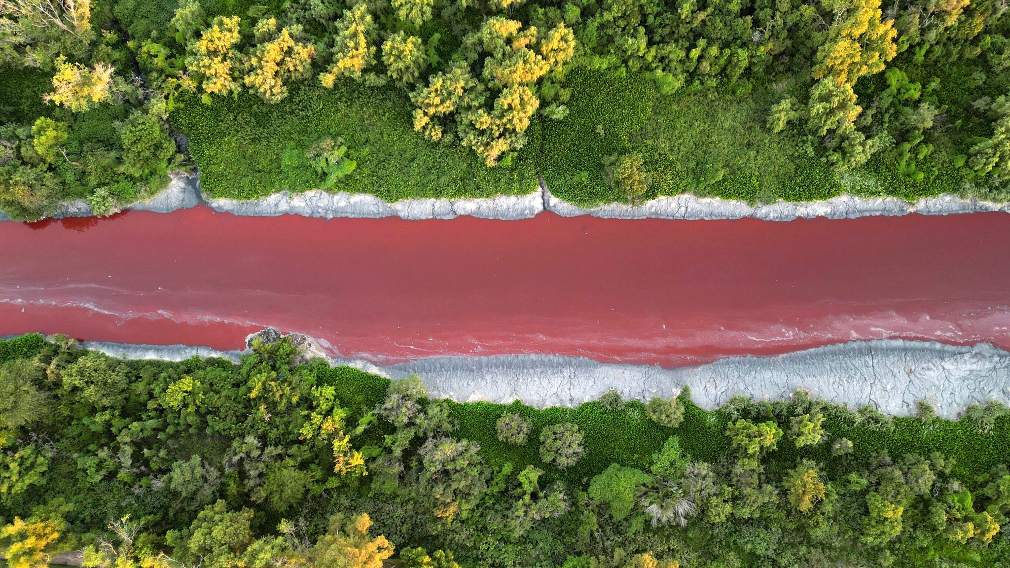 River in Argentina turns bright red | World News | Sky News