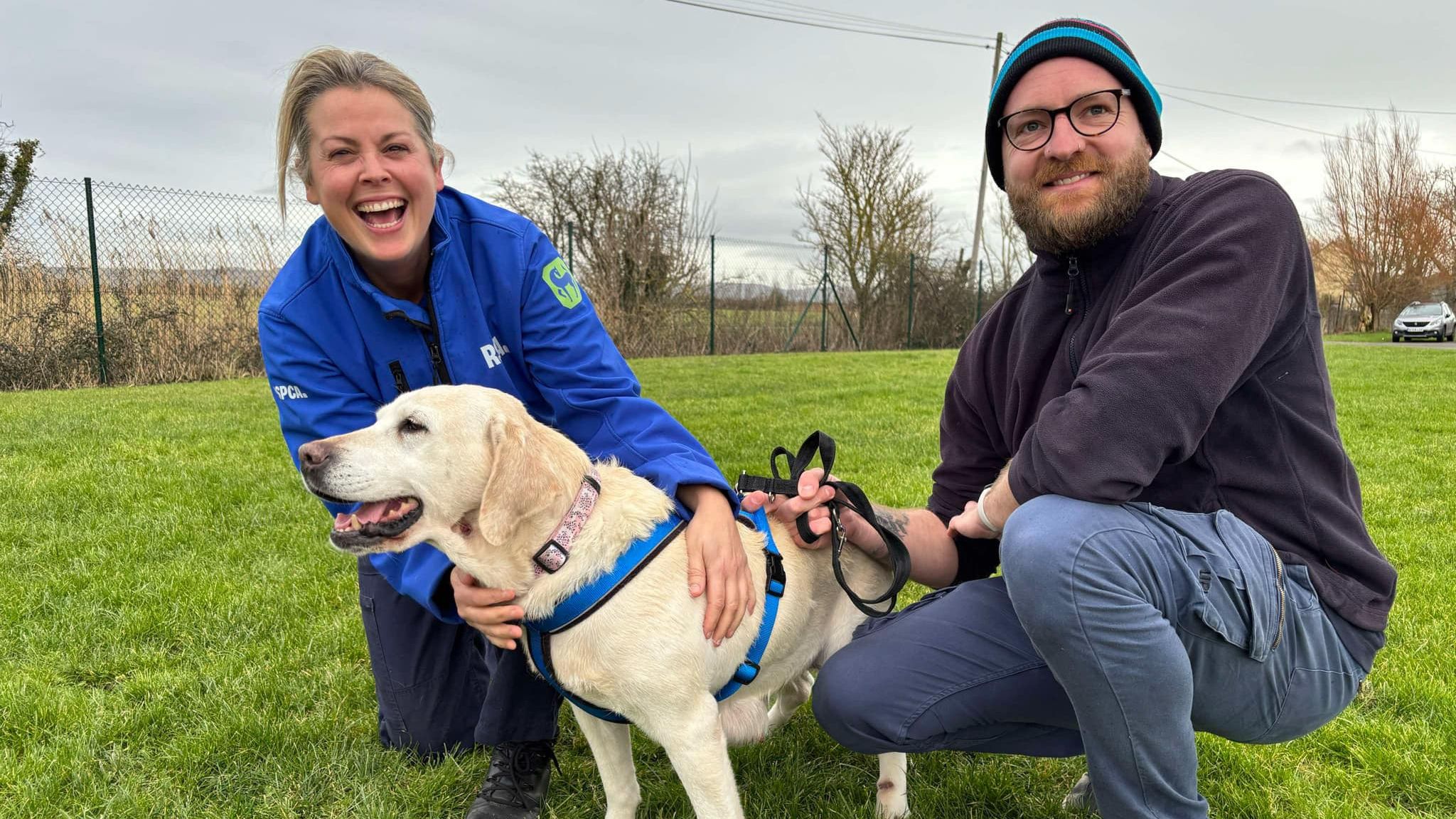 Norfolk couple have 'dream come true' after reuniting with dog seven ...
