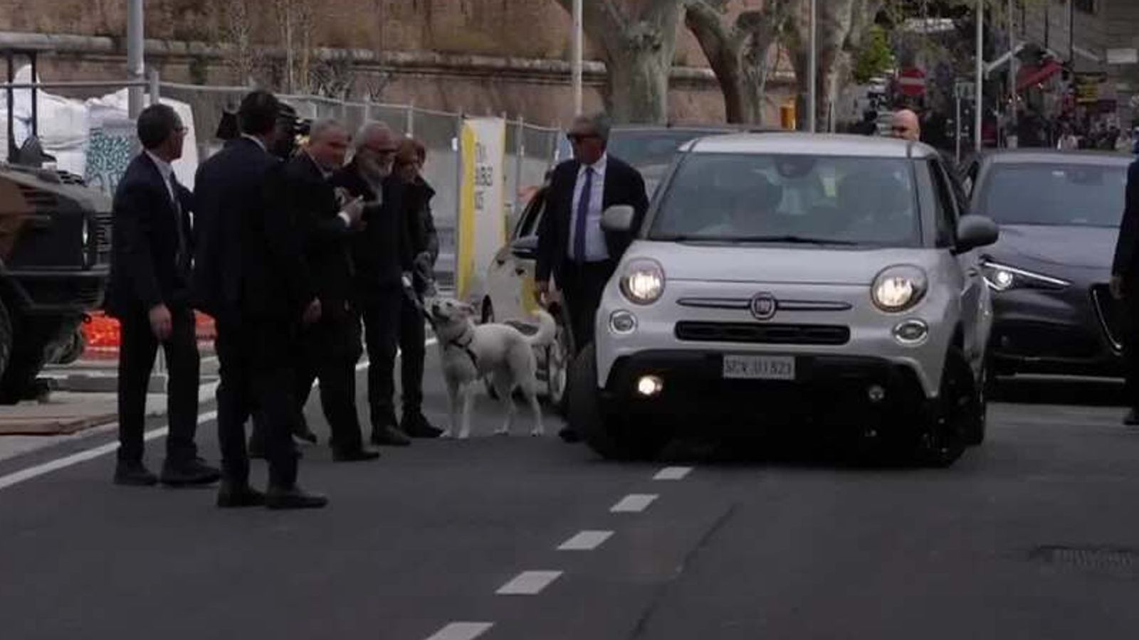 Pope Francis greets a lucky dog walker in Rome after leaving hospital ...