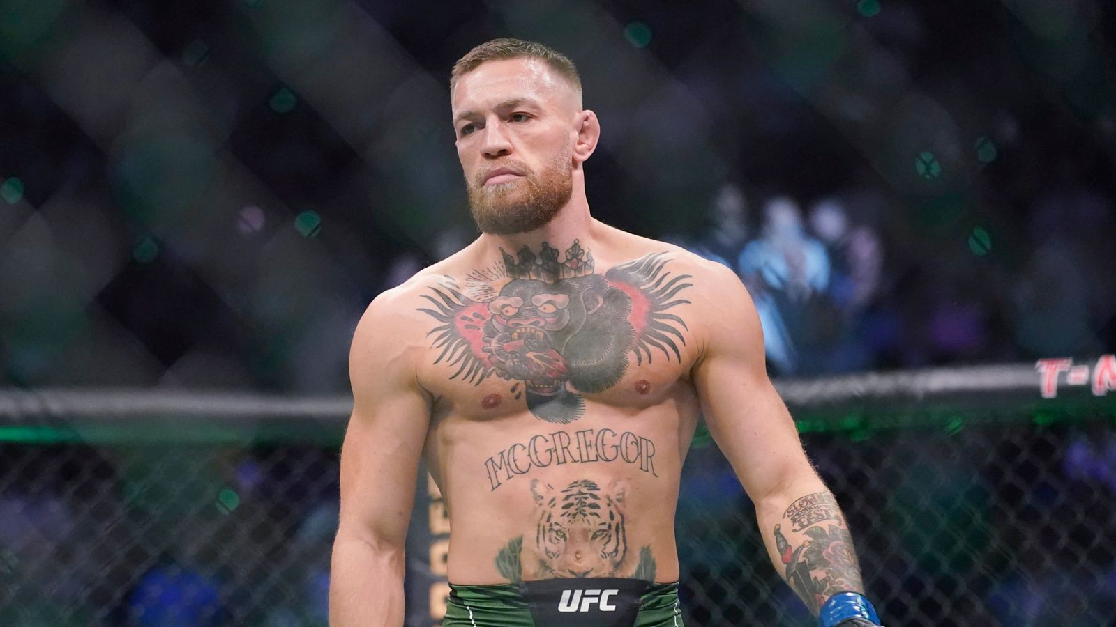 Why Conor McGregor has 'close to zero chance' of becoming Ireland's next president | World News ...