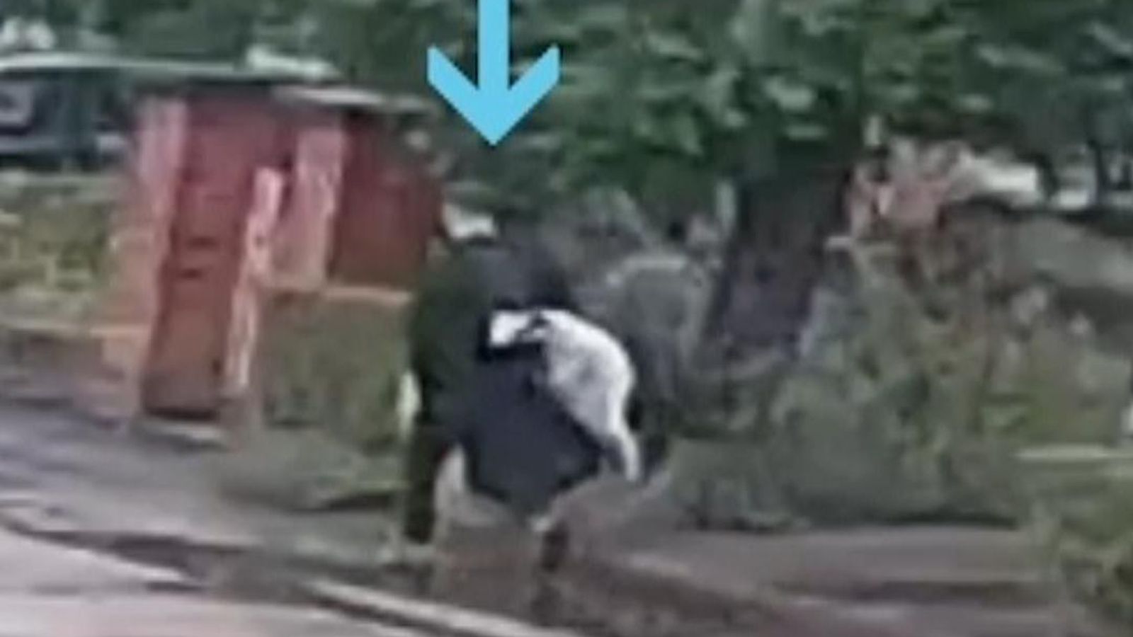 CCTV released by Hertfordshire Police shows timeline of crossbow and ...