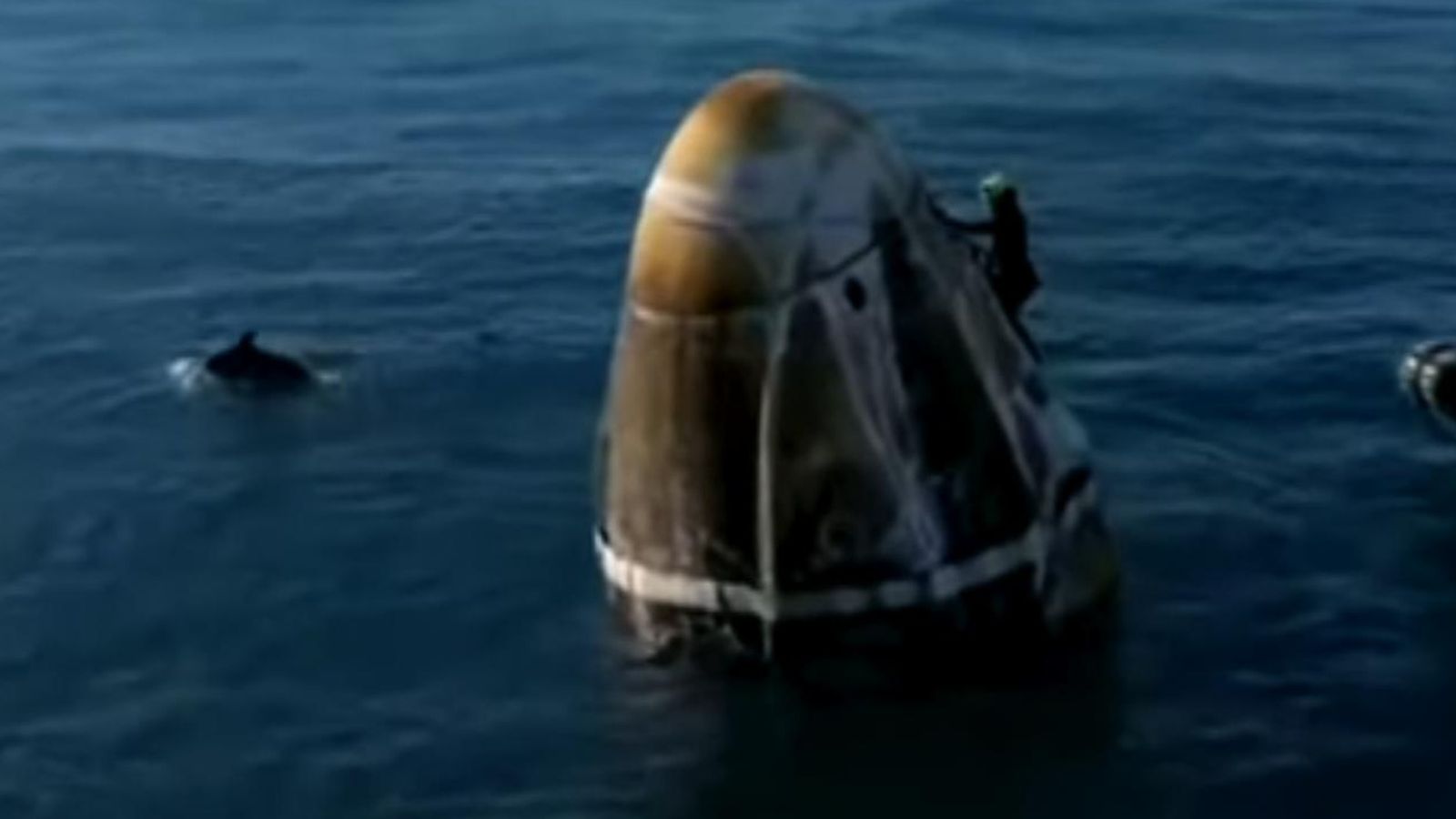 Returning astronauts Butch Wilmore and Suni Williams greeted by dolphins after over nine months ...