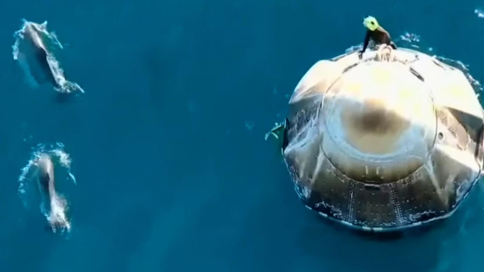 NASA reveals what's next for astronauts safely back on Earth after nine ...