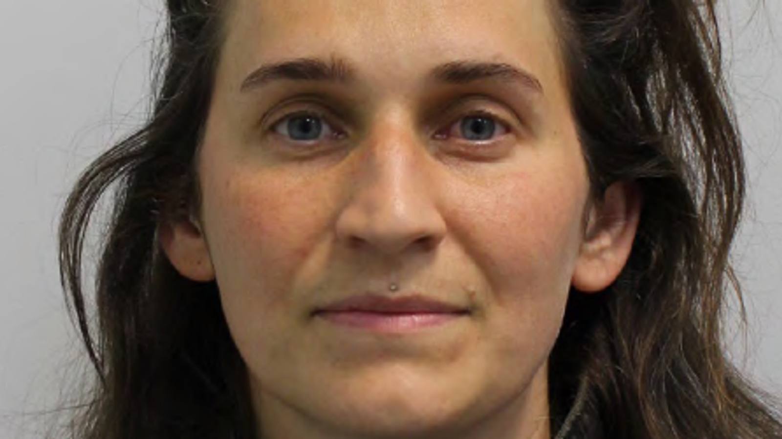 Nine Just Stop Oil protesters convicted after planning to glue ...