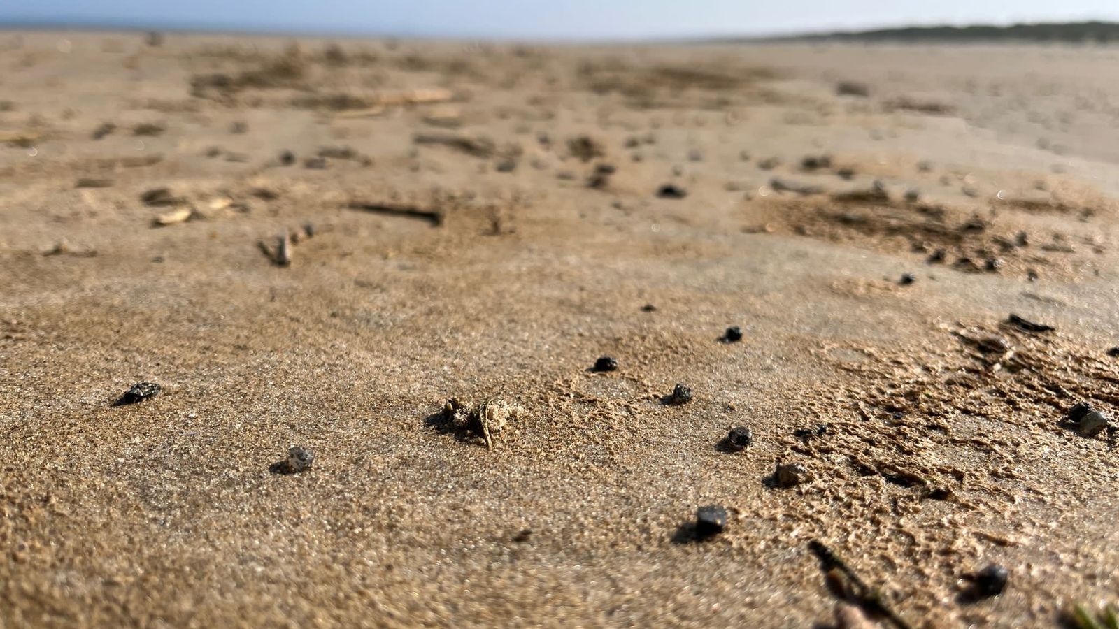 Race to clean up billions of plastic 'nurdles' that washed up in UK ...