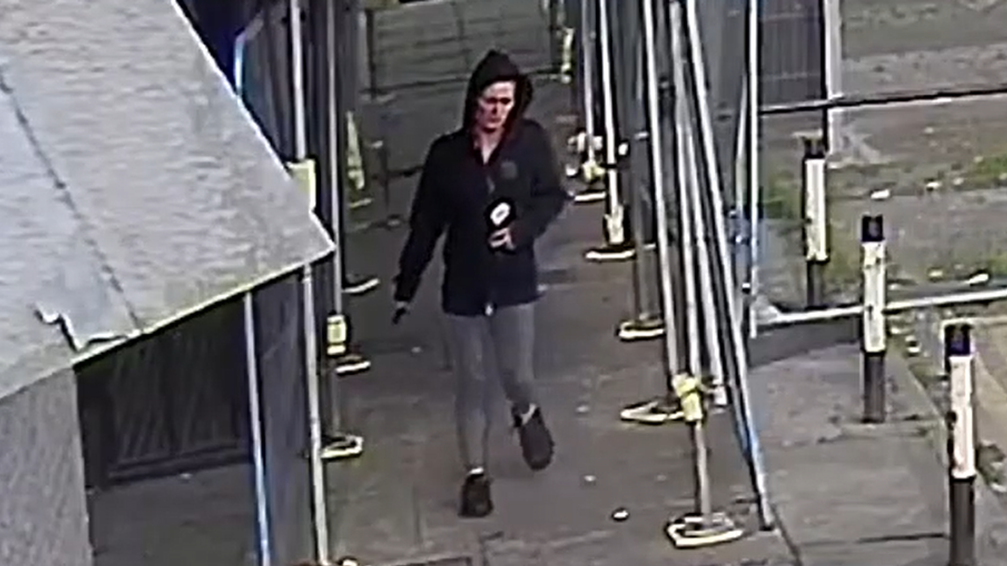 Elizabeth Sweeney: Woman who beat Aberdeen man to death with kettle ...