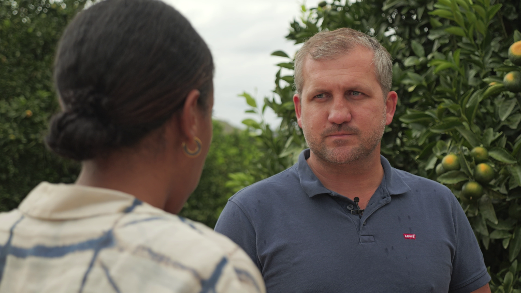 Tens of thousands of jobs on South Africa's citrus farms at risk if US imposes tariffs | World ...