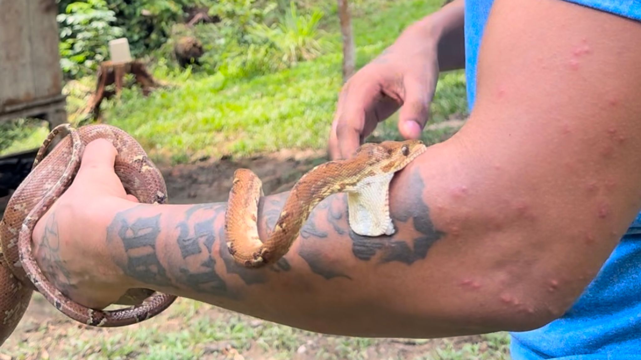 Meet TY From The Wyld - a former drill rapper turned conservation star ...