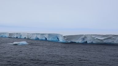 World's largest iceberg runs aground in South Georgia and blocks off ...